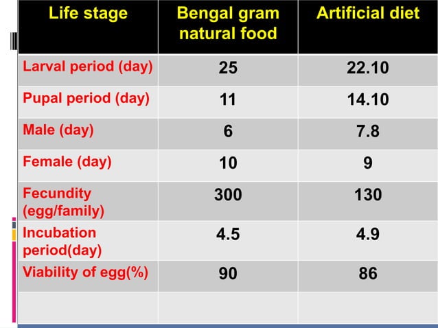 Mass rearing techniques of helicovarpa | PPTX