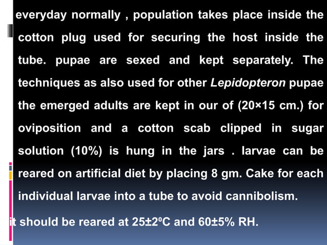 Mass rearing techniques of helicovarpa | PPTX