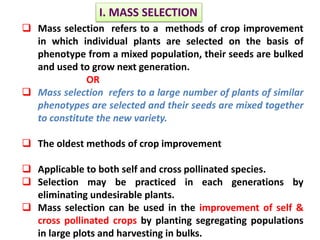 Mass selection 21.05.2021