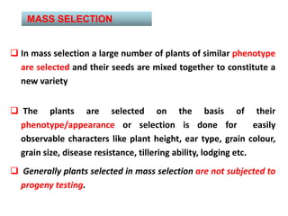 Mass selection 21.05.2021