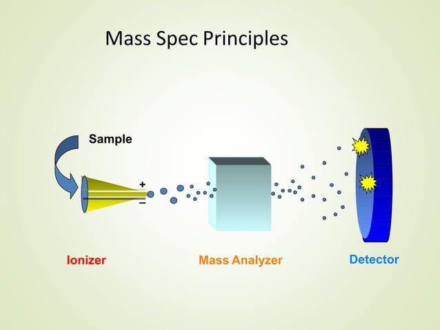 Mass specctroscopy and interpretation | PPTX | Chemistry | Science