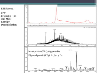 Mass spec of proteins | PPT