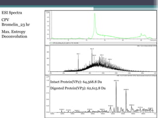 Mass spec of proteins | PPT | Chemistry | Science