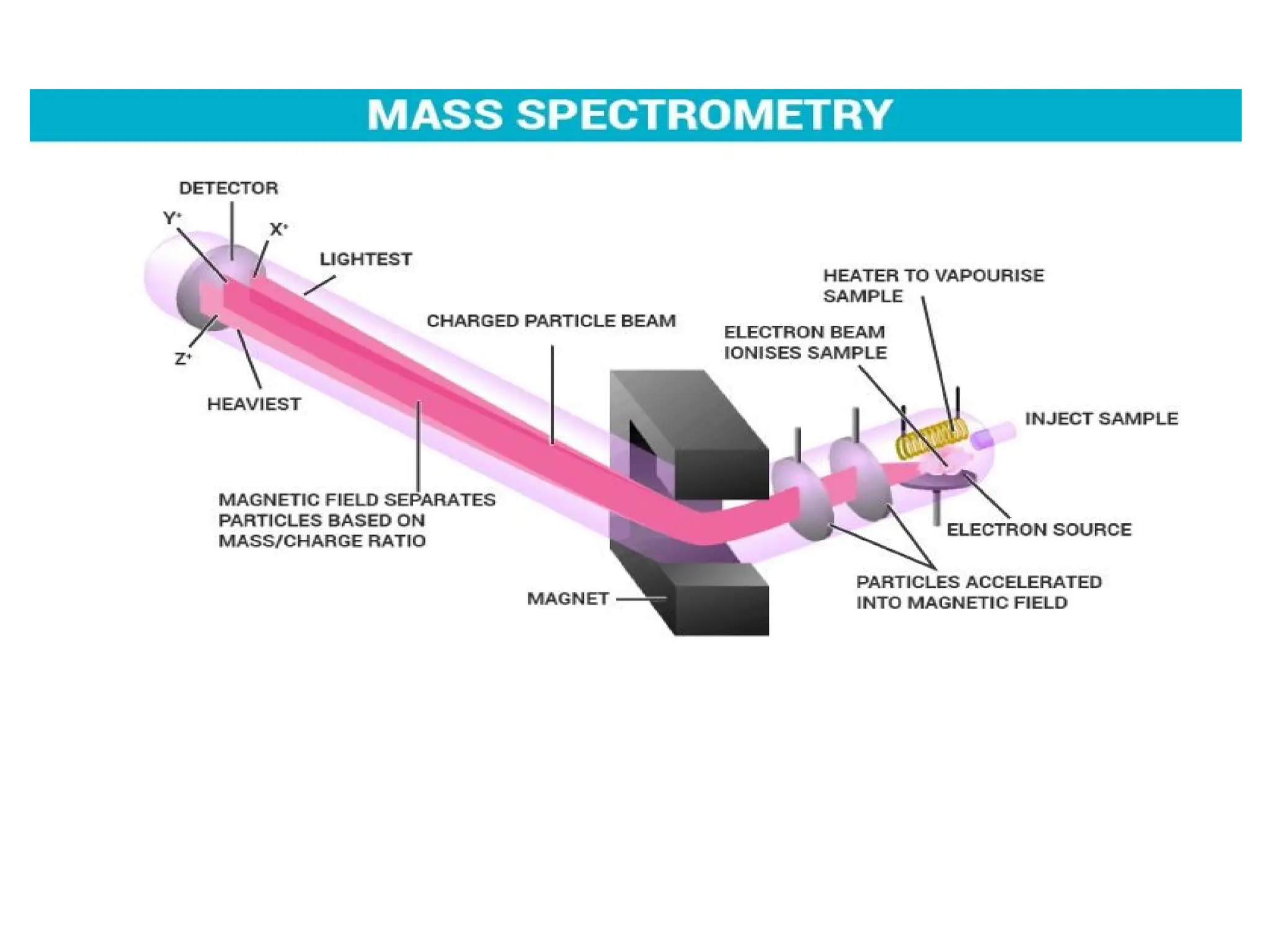 Mass spectrometry.pptxMass spectrometry b | PPT