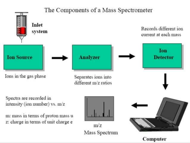 Mass spectrometry- full lecture | PPTX | Chemistry | Science