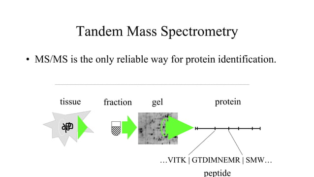Mass Spectrometry (MS) measures the atomic or molecular weight of a ion ...