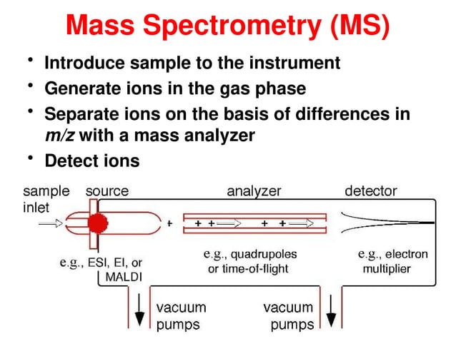 Mass Spectrometry MethodsTheory for Undergraduate and Postgraduate ...