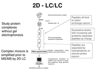 Mass Spectrometry Methods Theory lecture note .ppt