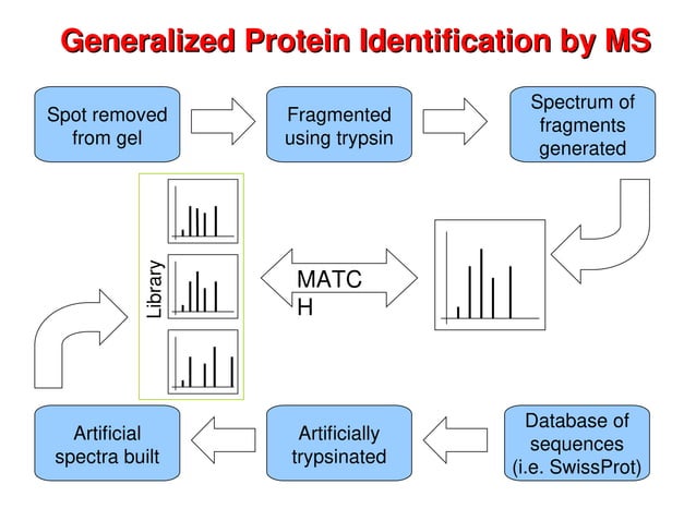 Mass Spectrometry Methods Theory lecture note .ppt