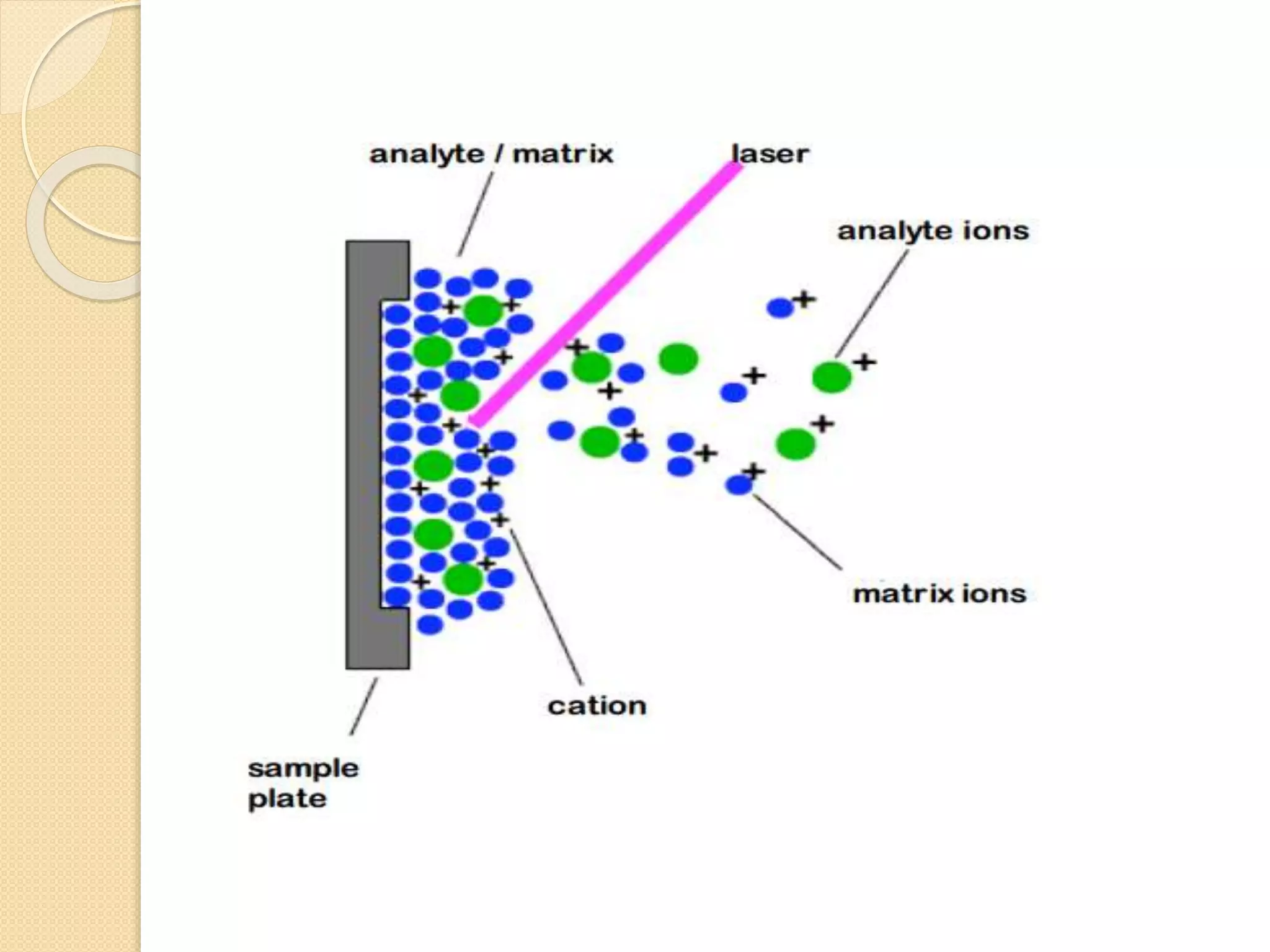 MASS SPECTROSCOPY | PPT