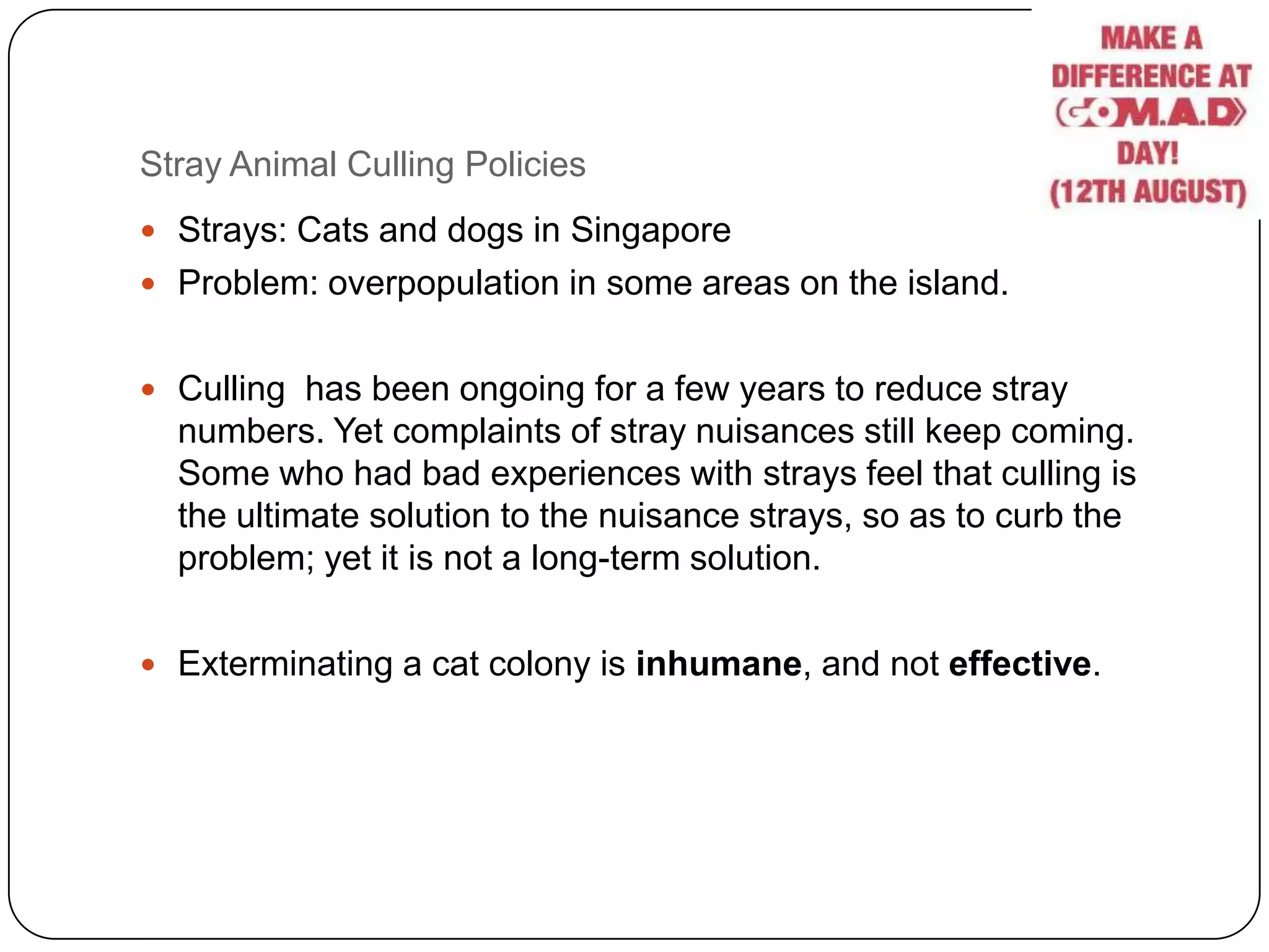 Mass sterilisation of Singapore's Stray cats | PPTX