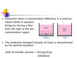 Mass Transfer.ppt