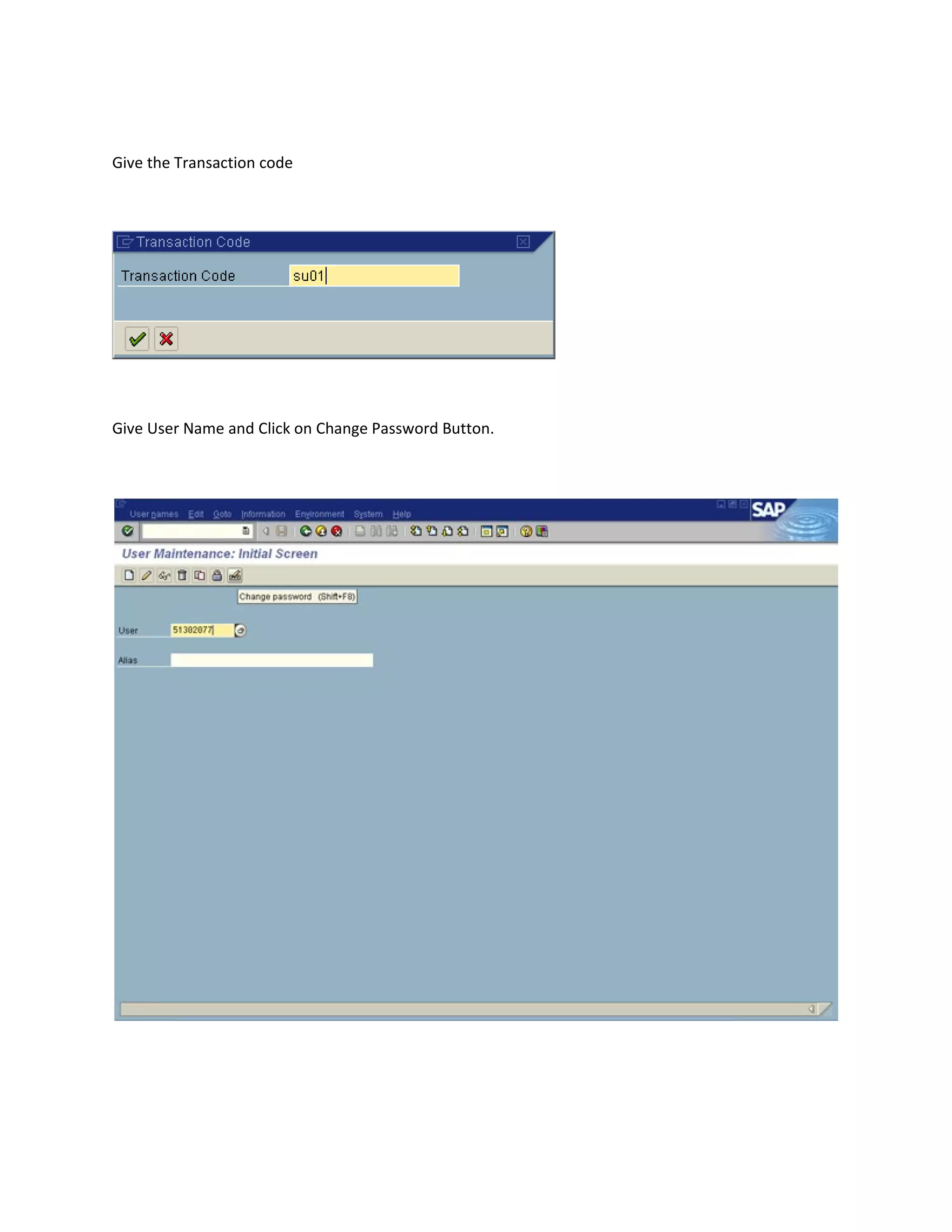 Mass User Password Reset Using Lsmw | DOC