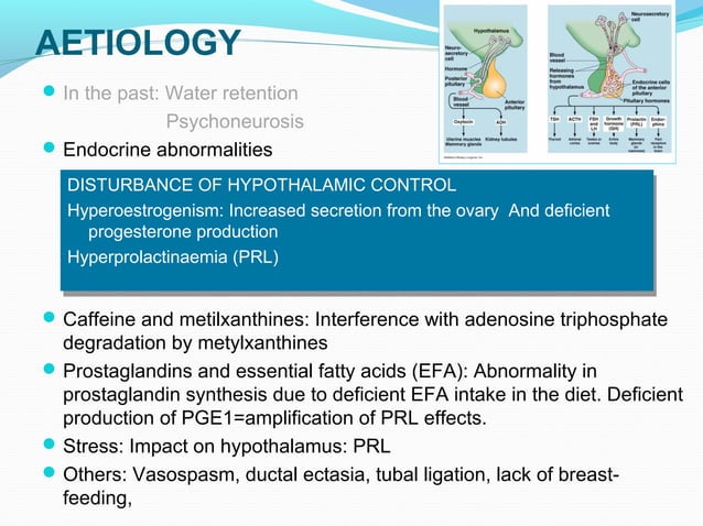 Mastalgia, breast pain. Dra Moreno (www.oncocir.com) | PPT