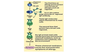 Mast cell assay.pptx.................... | PPT