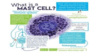 Mast cell assay.pptx.................... | PPT