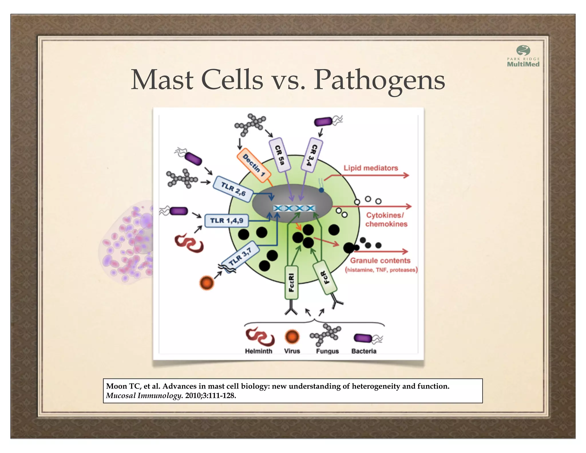 Mast cell disorders | PDF