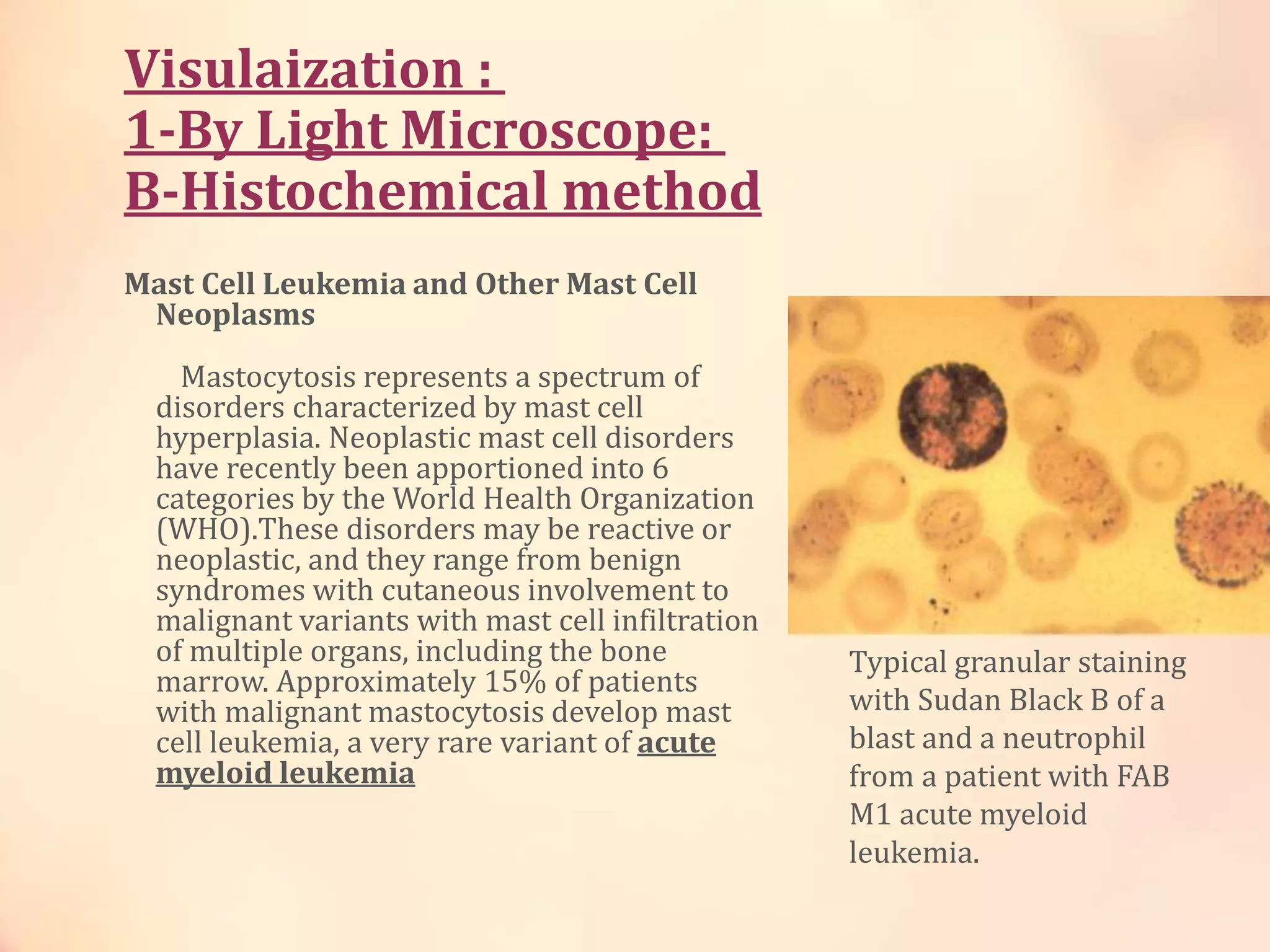 Mast cell histology and its visualization methods | PPT