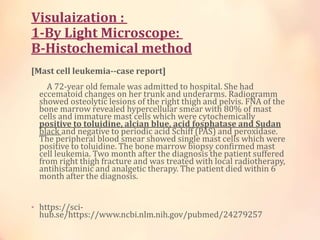 Mast cell histology and its visualization methods | PPT