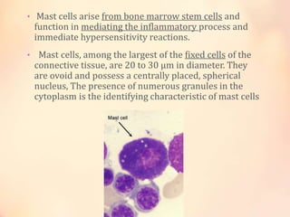 Mast cell histology and its visualization methods | PPT