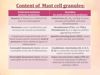Mast cell histology and its visualization methods | PPT