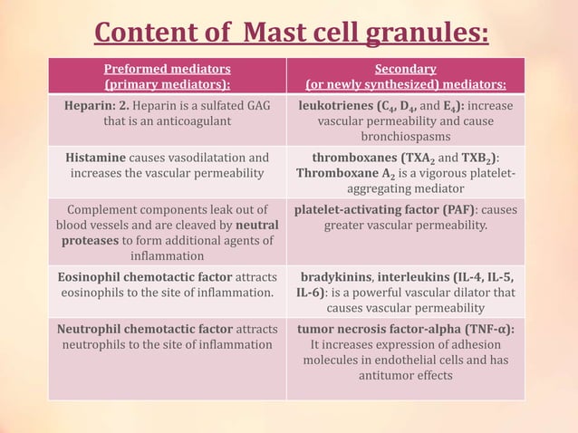 Mast cell histology and its visualization methods | PPT