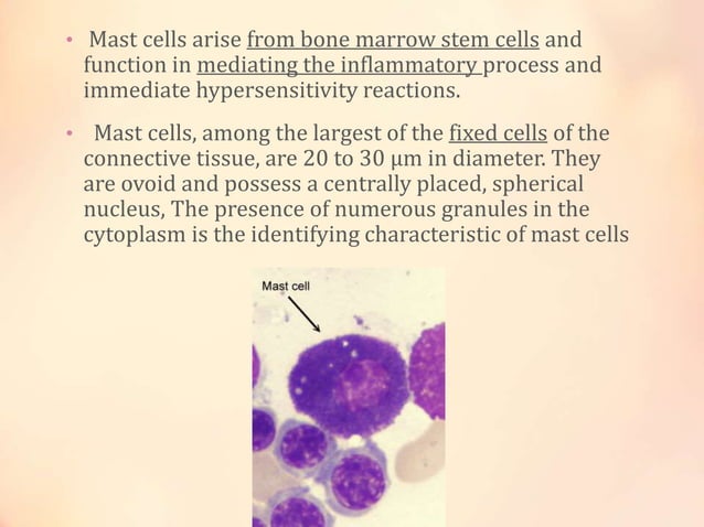 Mast cell histology and its visualization methods