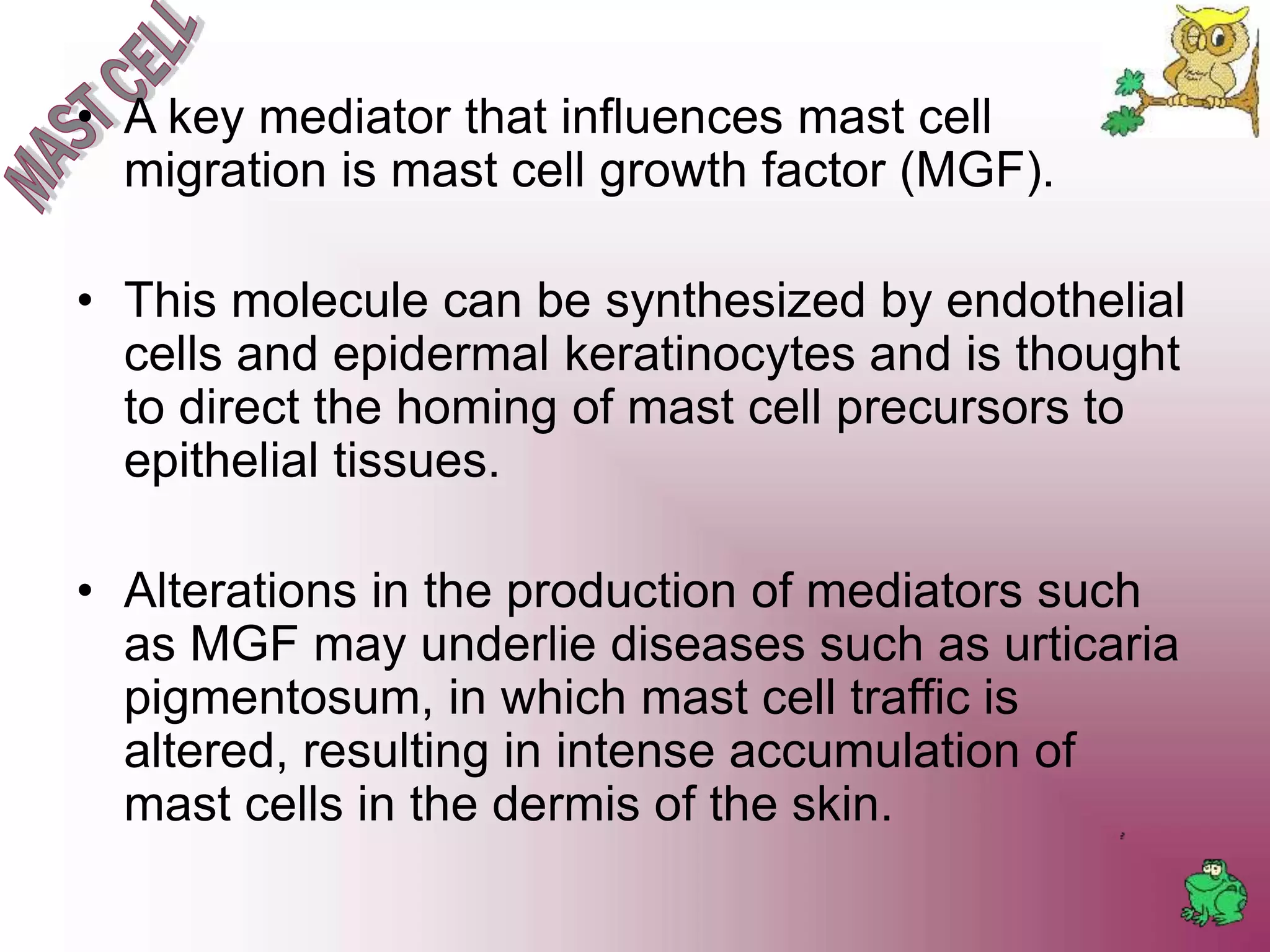 Mast cells.ppt