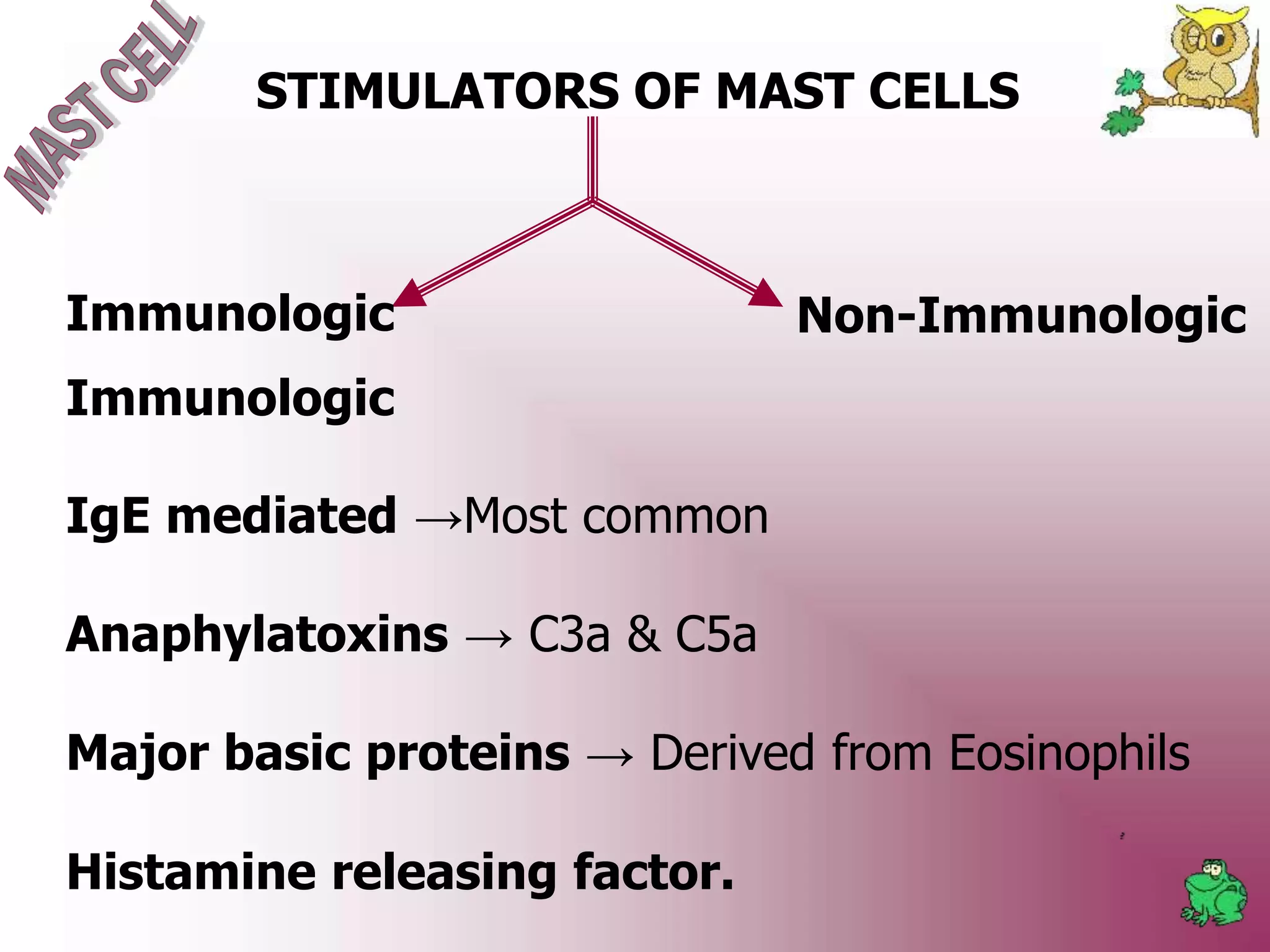 Mast cells.ppt