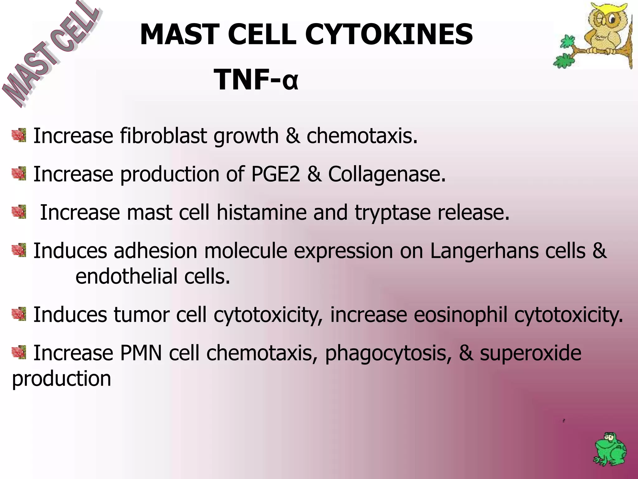 Mast cells.ppt