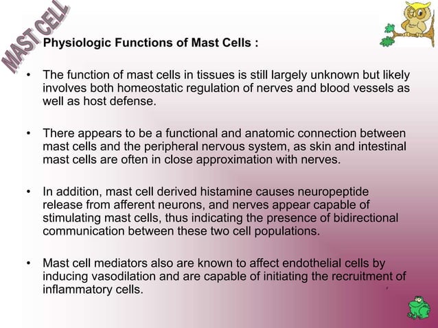 Mast cells.ppt