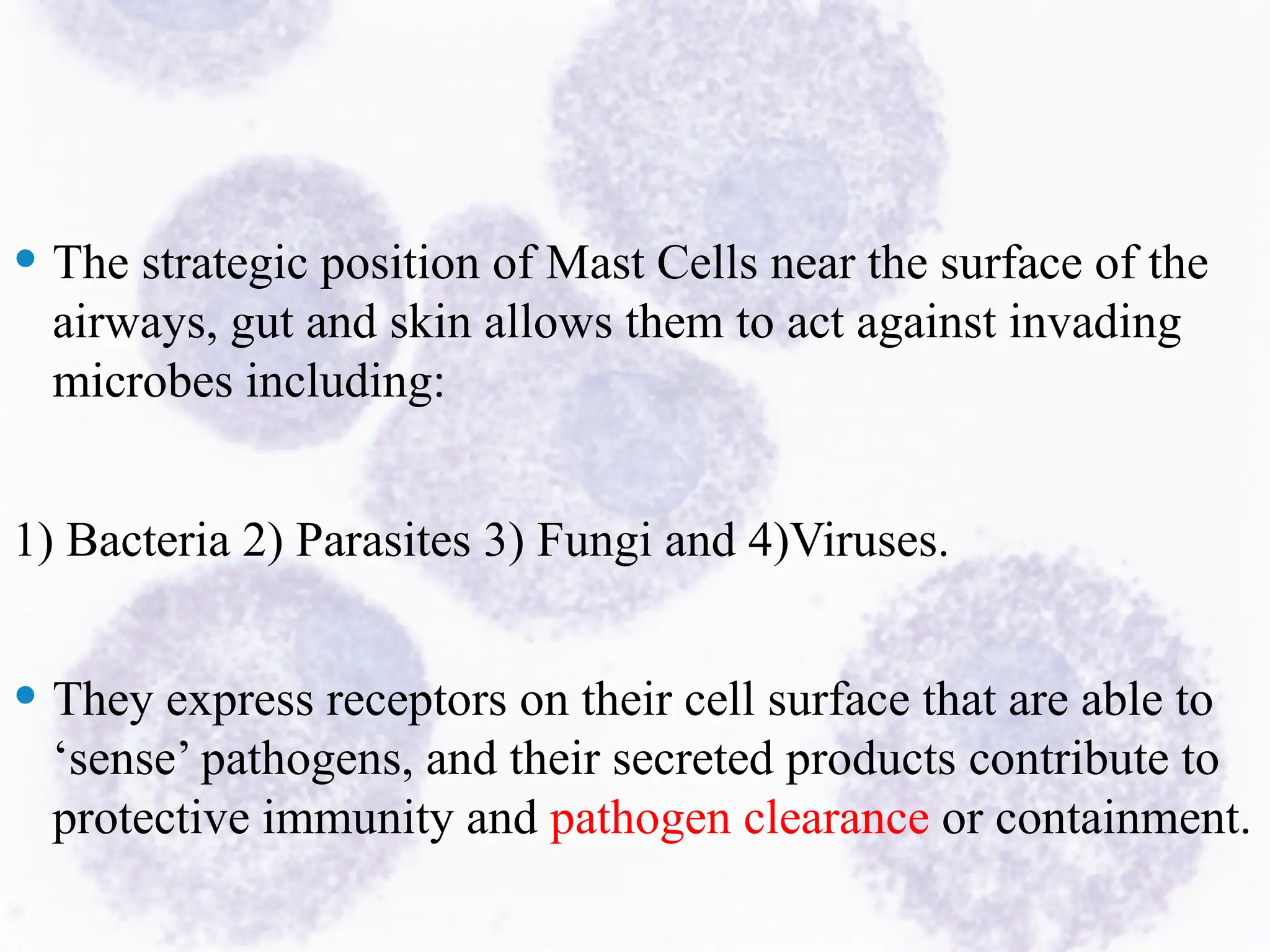 Mast Cells in health and disease by rohan.pptx
