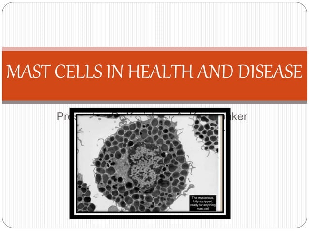 Mast cells in health and disease final dr karishma | PPTX