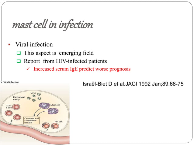 Mast cells in health and disease final dr karishma | PPTX