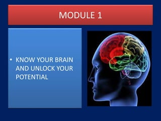 Mind Map Way to Creative Thinking & Decision Making | PPTX