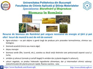 Biorafinarii si Bioproduse | PPT