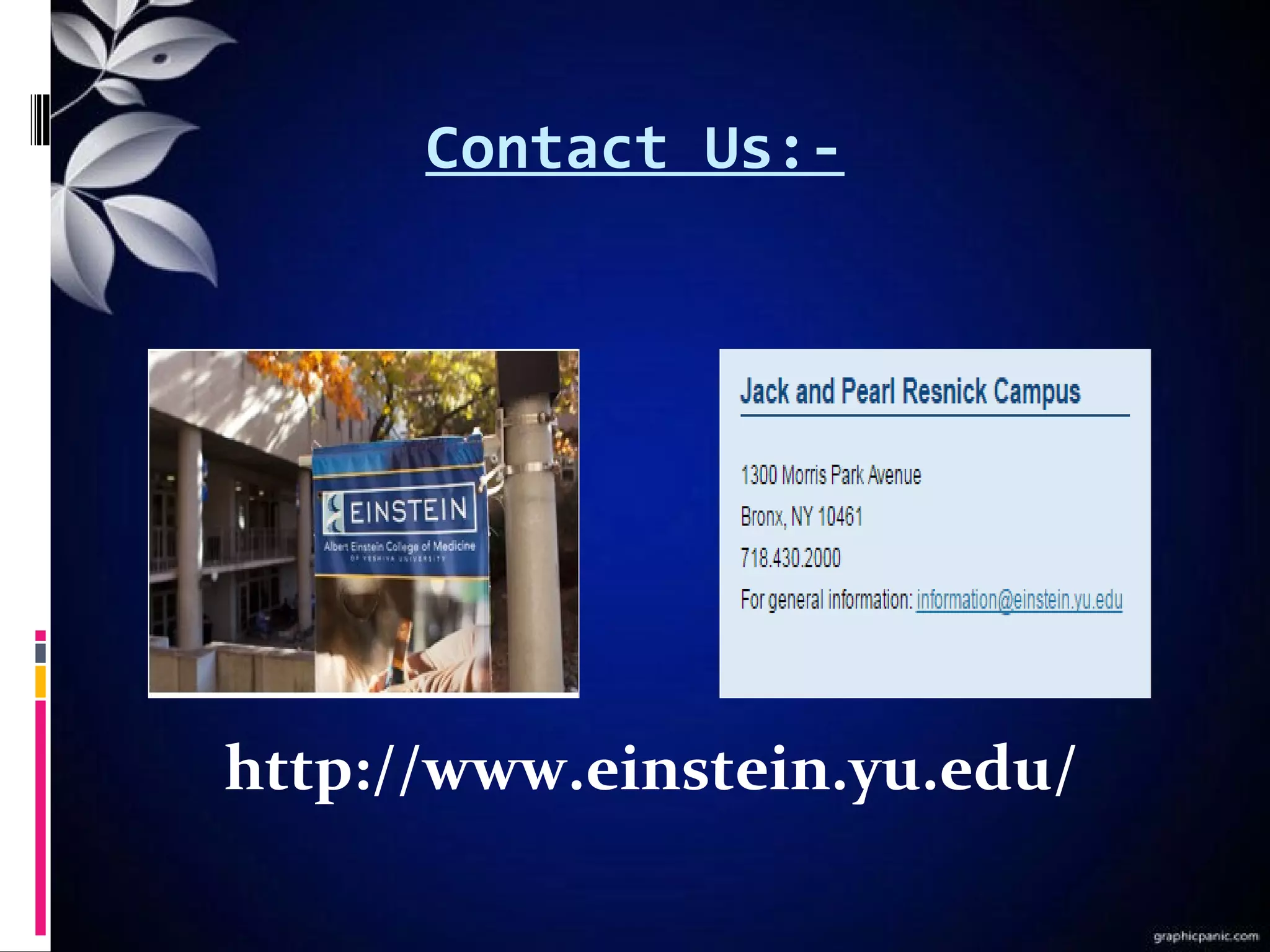 Master bioethics at bronx | PPT