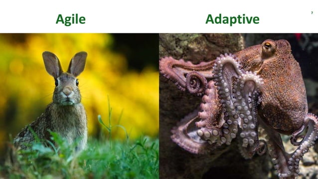 Masterclass architectural thinking | PPT