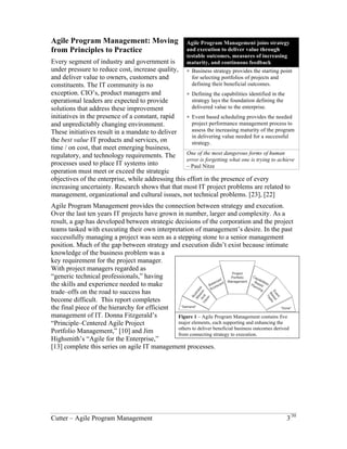 Agile Program Management - Moving from Principles to Practices | PDF