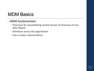 Master data management | PDF