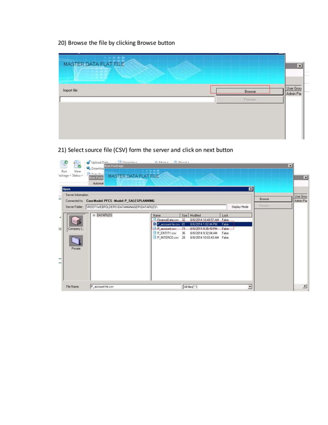 SAP BPC 10.0 NW FLAT FILE (csv)Master data upload doc | DOCX | Business Utilities | Business