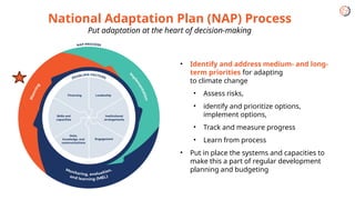 Introduction: The NAP process & NbS in NAPs | PPT