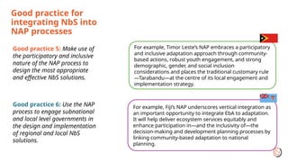 Scaling-up Nature-Based Solutions through the NAP Process | PPTX