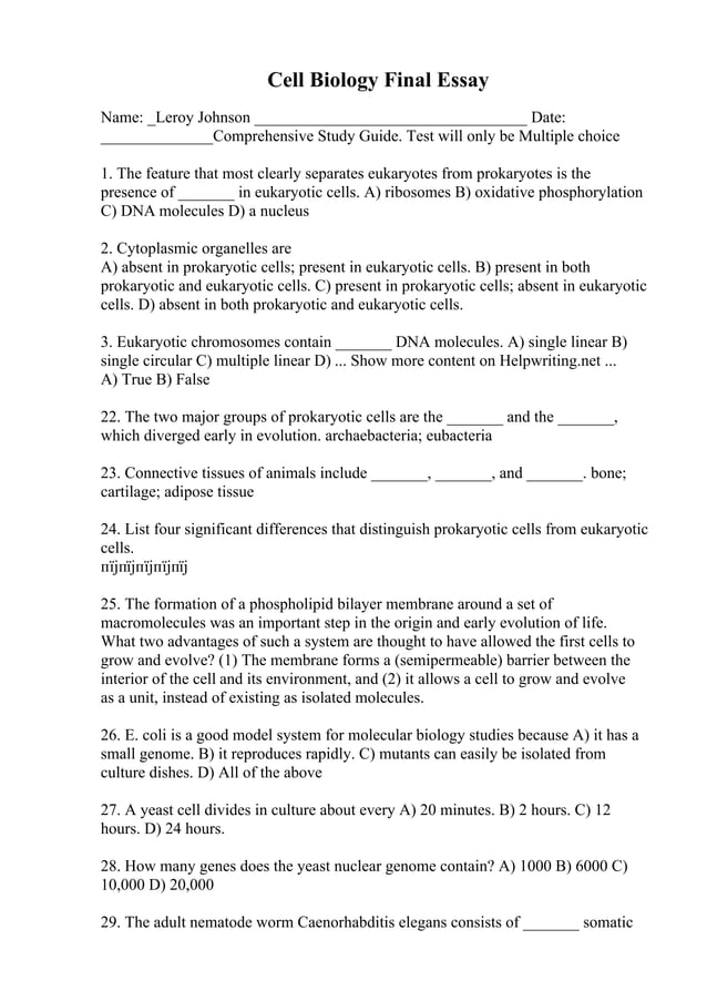 Master Essay Sample.pdf