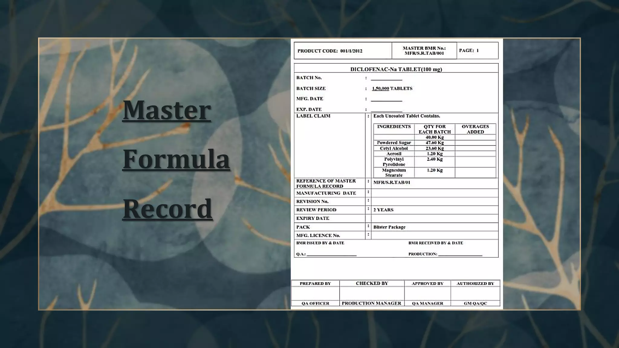 Master formula record.pdf