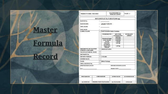 Master formula record.pdf