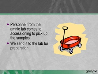 Master Genzyme Presentation | PPT | Biological Sciences | Science