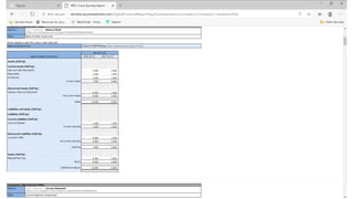 MINI Financial Reporting Scheme | PPT