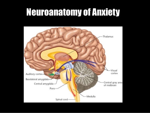 Mastering Anxiety - Teaching Strategies for Building Student Confiden…