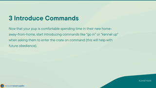 Mastering Crate Training in Nine Simple Steps - Slaneyside Kennels.pdf